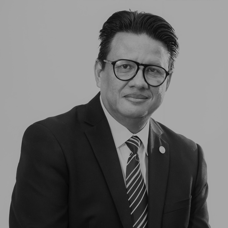 Consejo de Acreditación – AAPIA